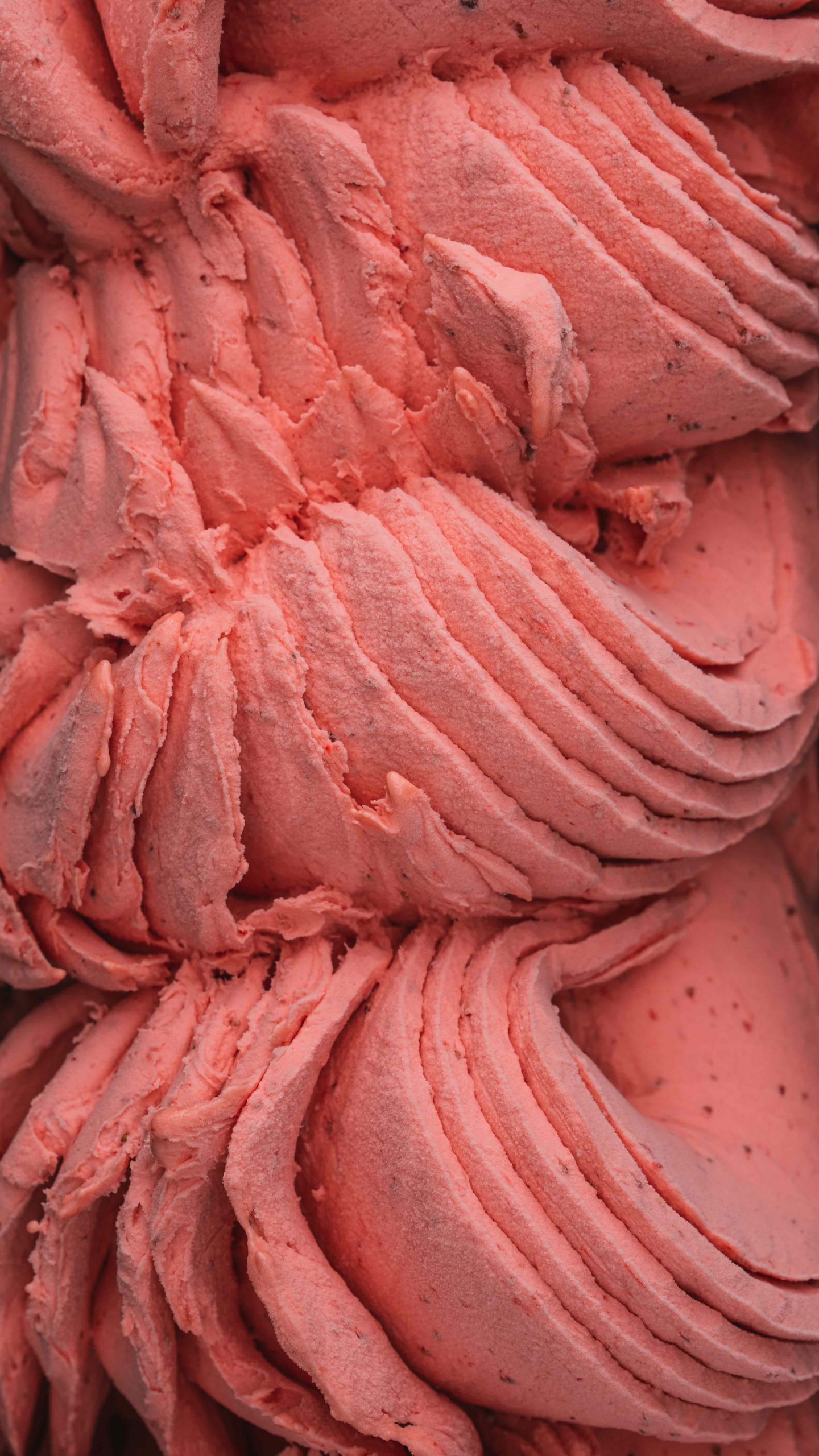 Argelato Europe GmbH